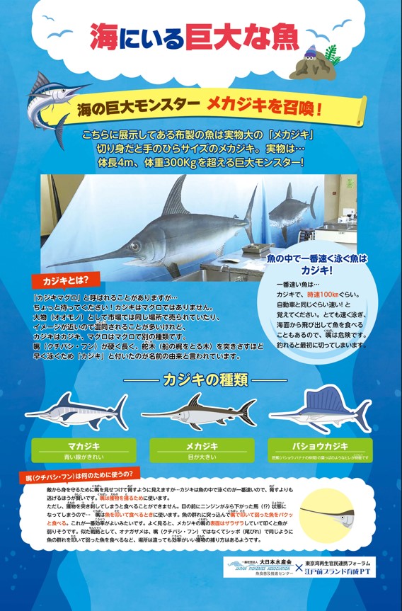 kyodai | 魚食普及推進センター(一般社団法人 大日本水産会)
